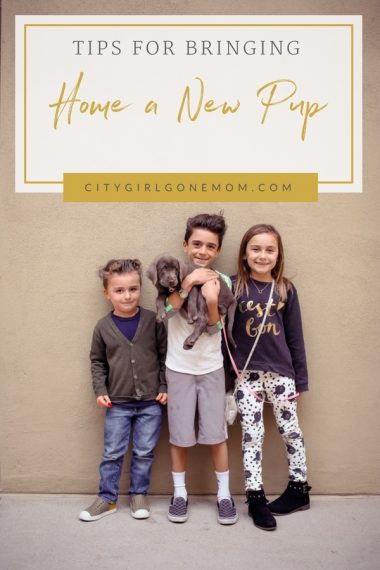 Bringing Home Sweet Mabel