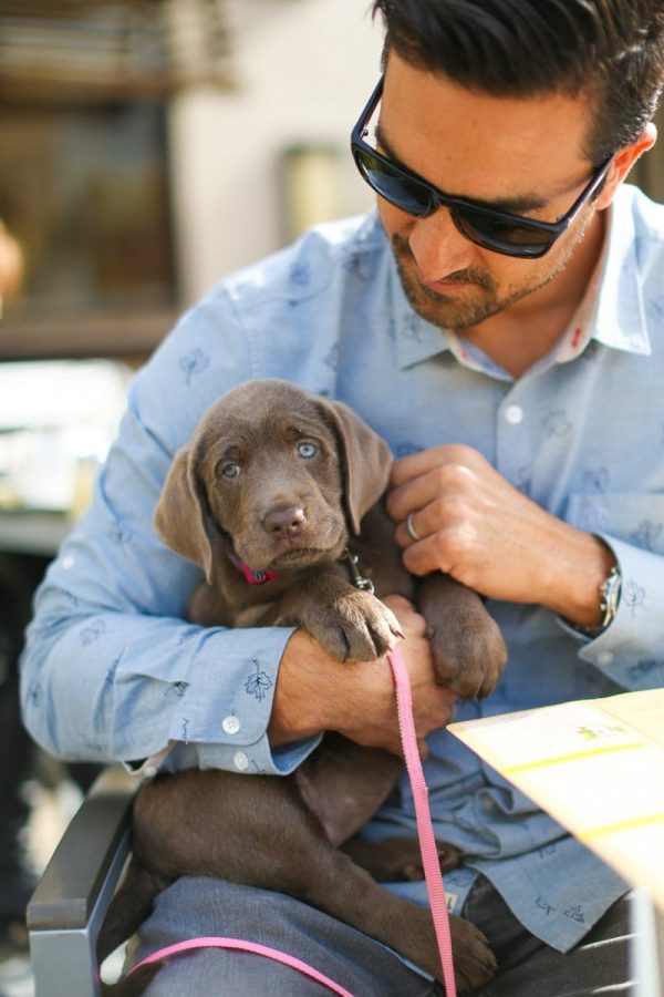 Bringing Home Sweet Mabel