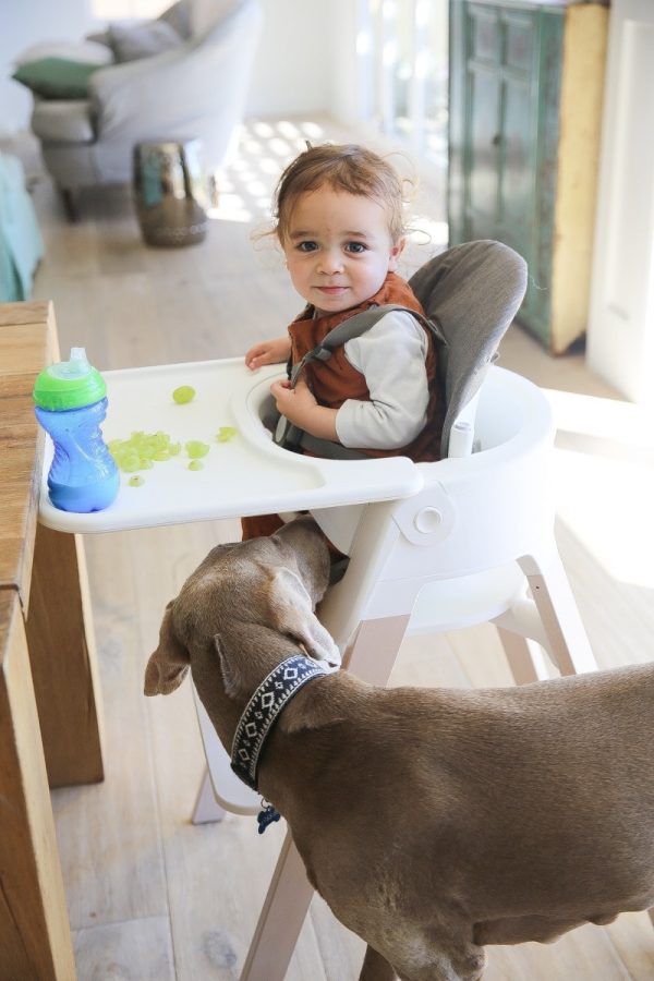 Family Bonding with the Stokke Steps High Chair