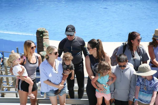 Bonding With My Kids At SeaWorld® - City Girl Gone Mom