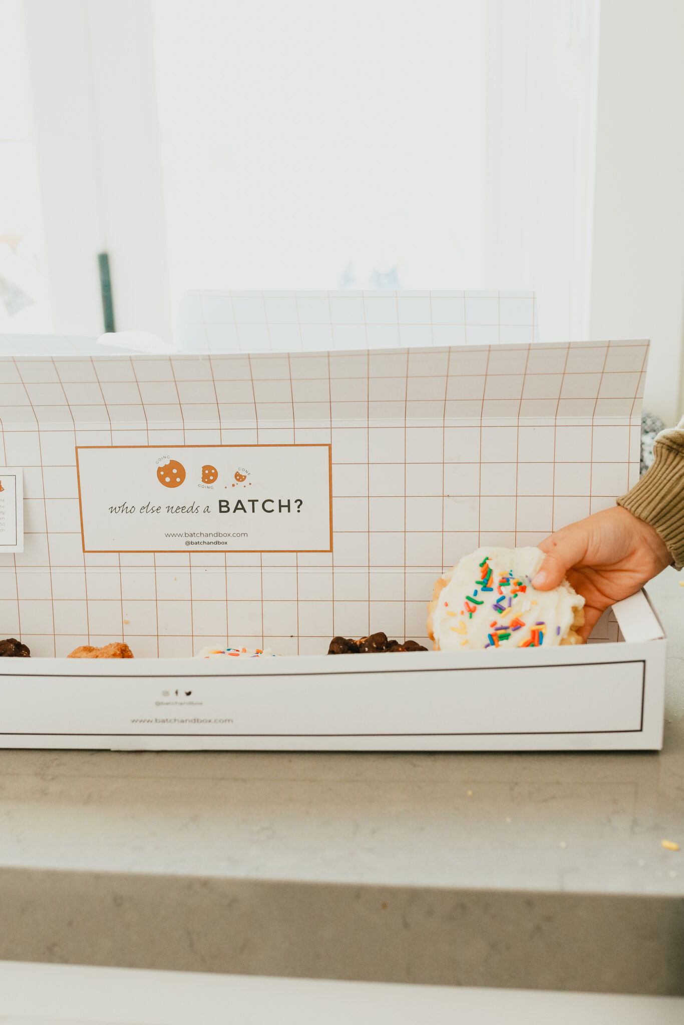 Sharing the Gift of Love With Batch & Box - City Girl Gone Mom