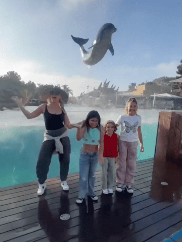 Experience the Magic of Christmas at SeaWorld, San Diego - City Girl ...